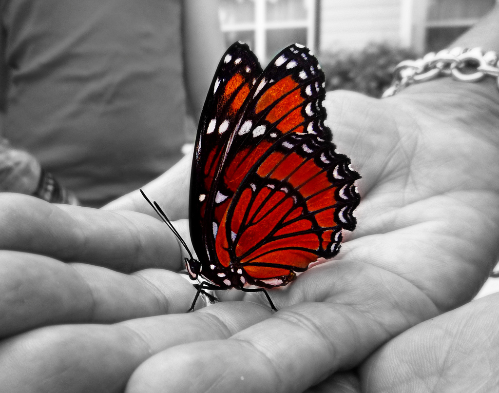 Moving Through Change - Weekend Meditation - davidji Sweetspot