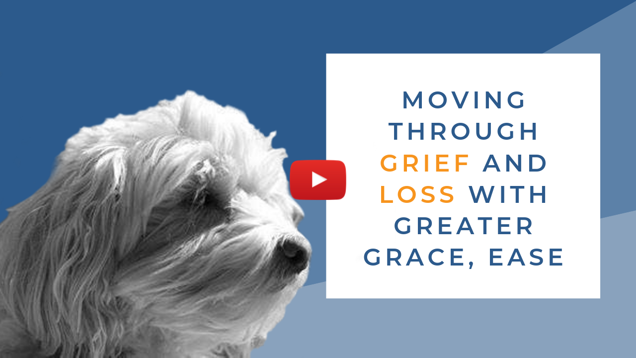 Moving through Grief and Loss with Greater Grace, Ease - davidji Sweetspot